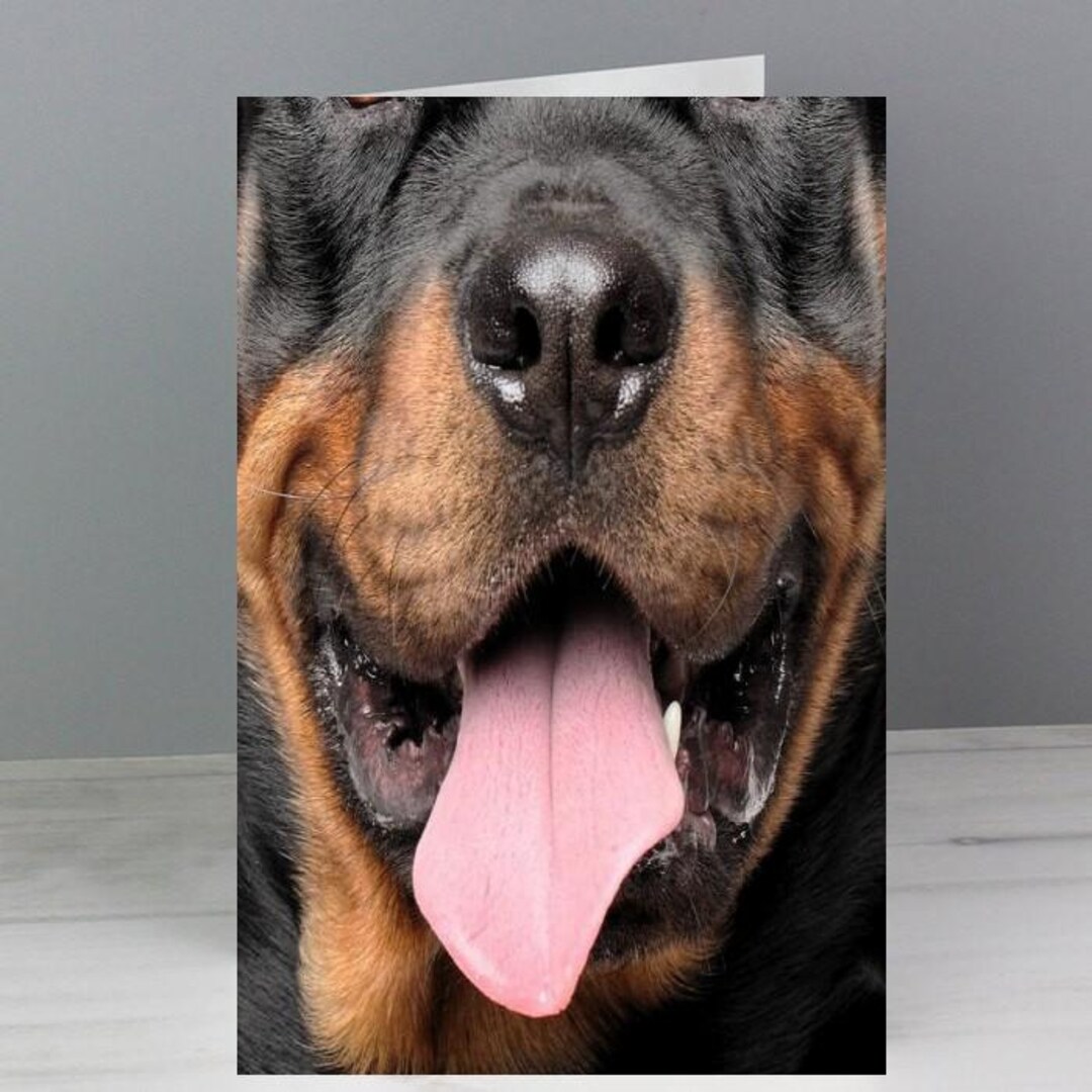 Rottweiler Dog Card, Dog Get Well Card, Rottweiler Card, Illness ...
