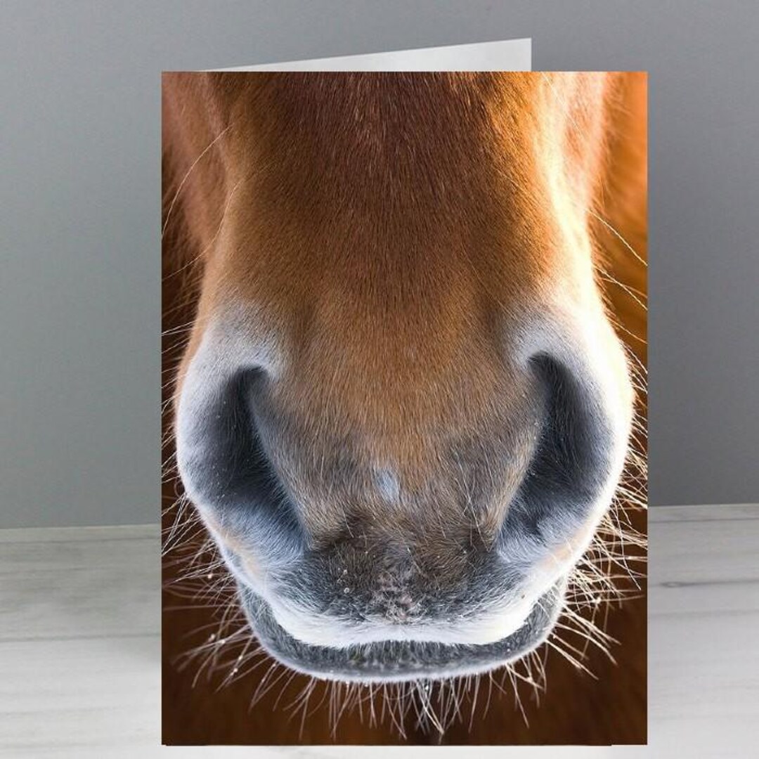 Horse Boop Birthday Card, Card for Horse Lover, Horse Greeting Card ...