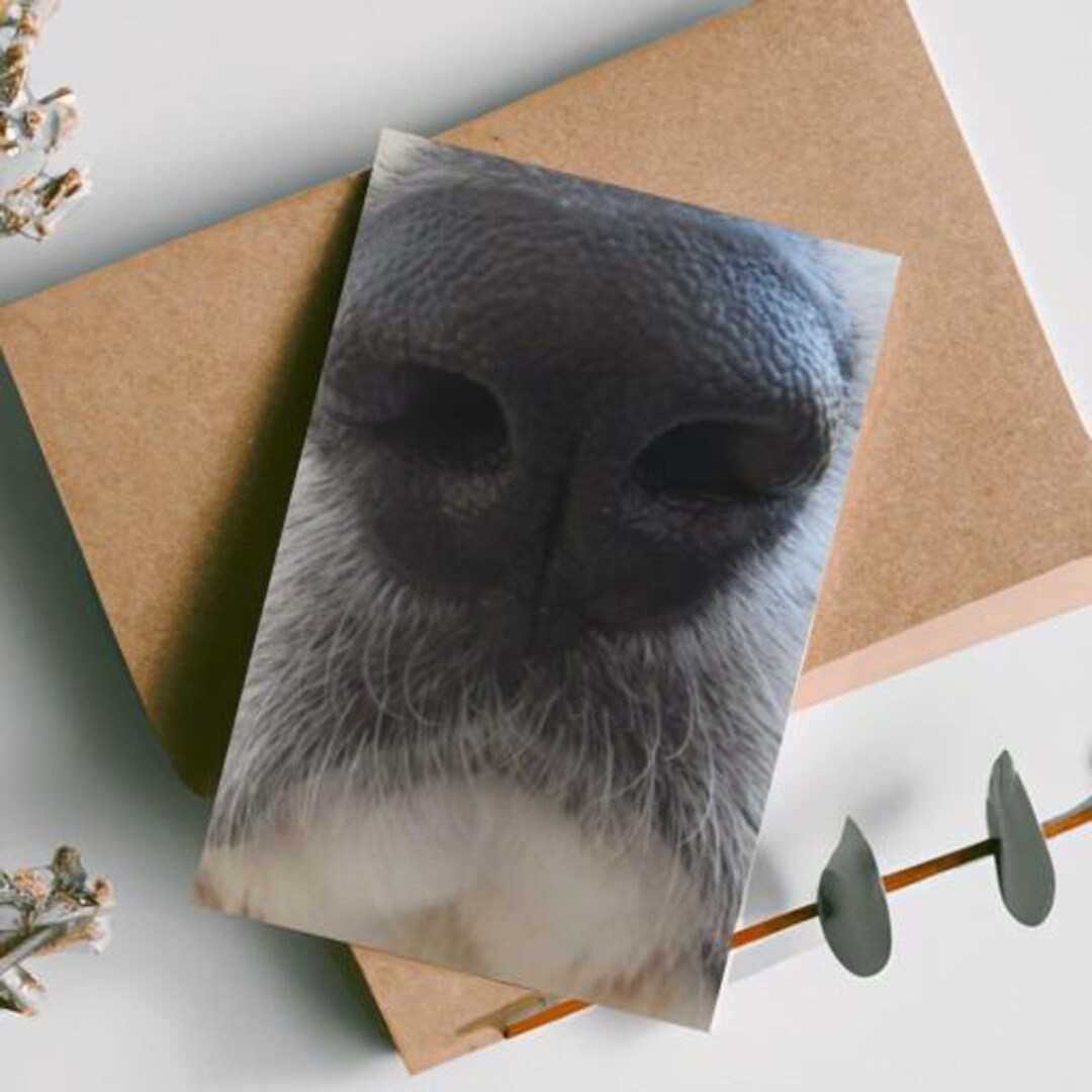 Dog Boop Nose Birthday Card, Do I Smell Cake? Great Pyrenees Card, Dog ...