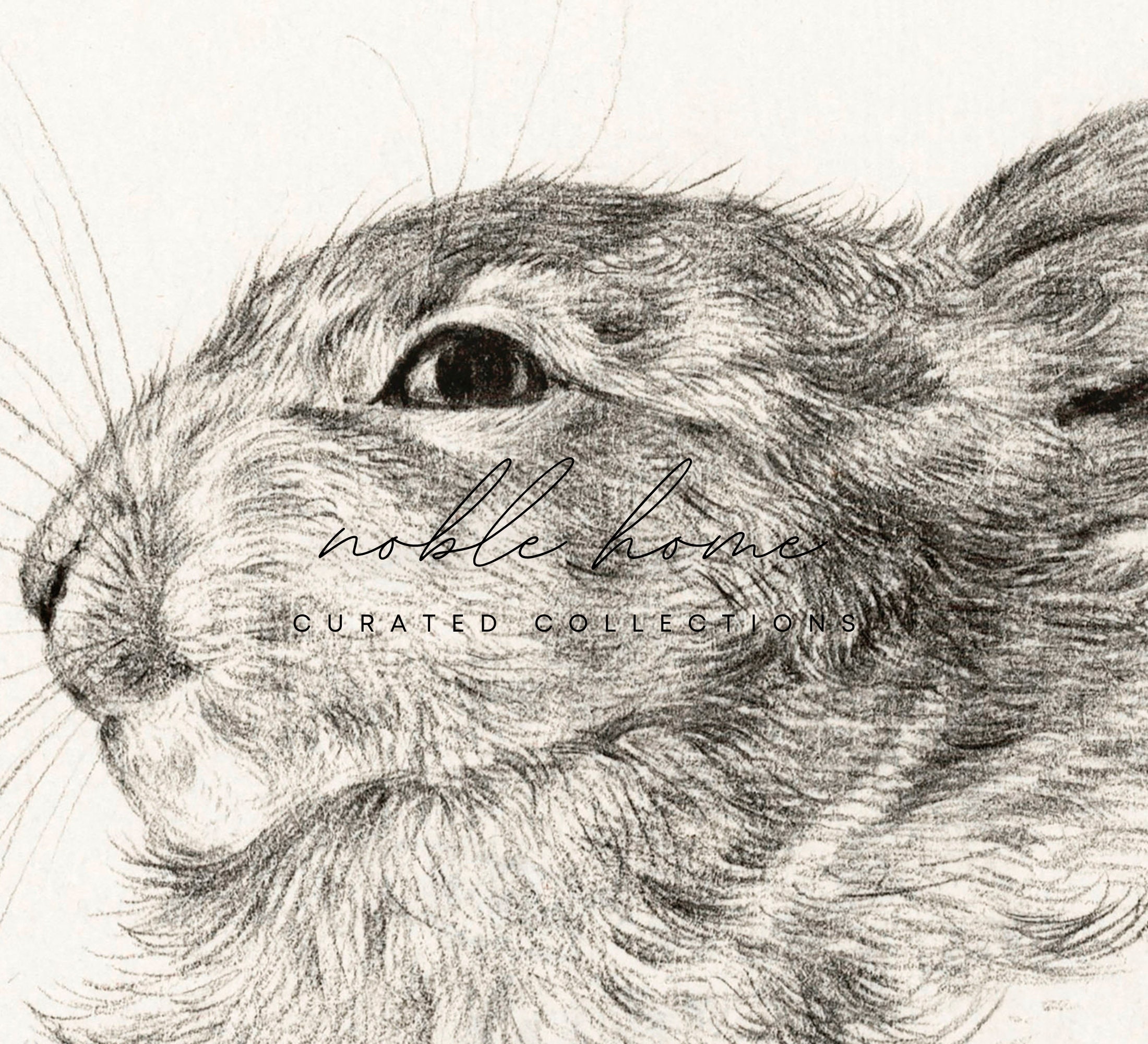 Vintage Rabbit Art Spring Art Print Neutral Wall Art - Etsy