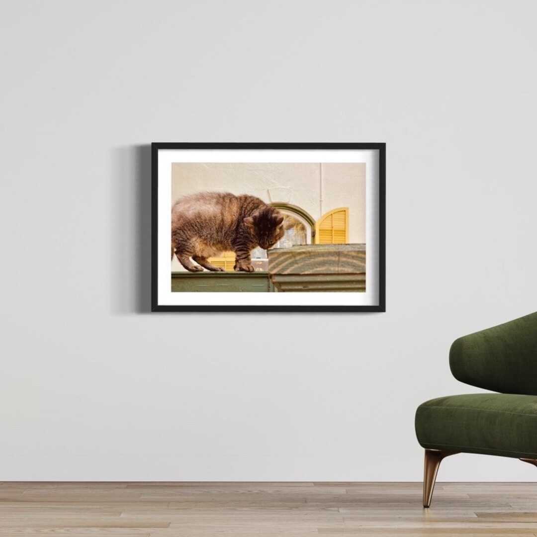 Hemingway Cat. Print of Ernest Hemingway Cat Photograph in Key West ...