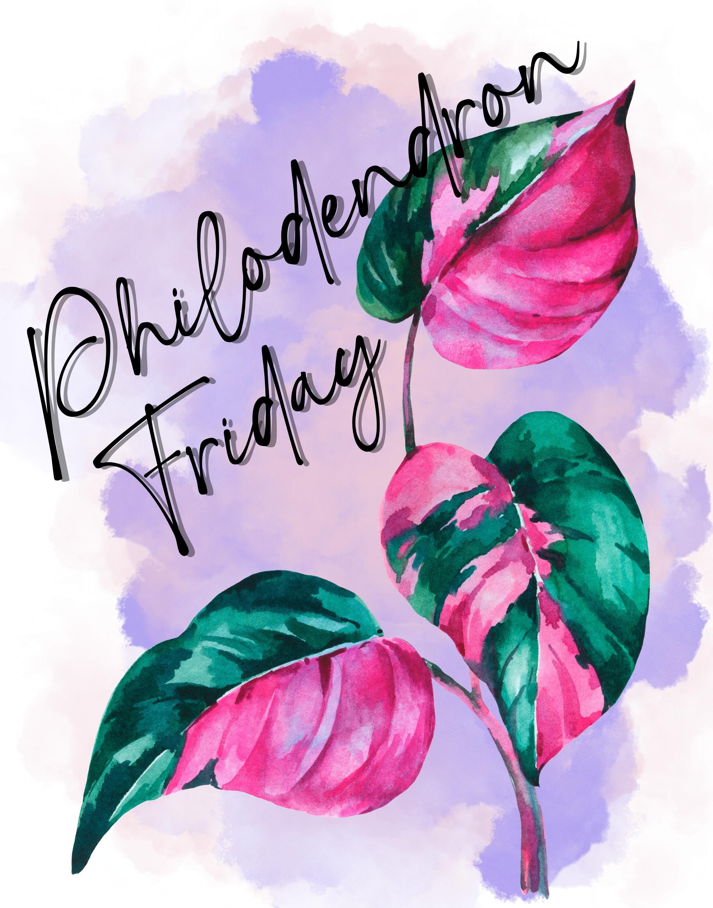 Pink Princess Philodendron Printable Wall Art, Philo Print Art ...