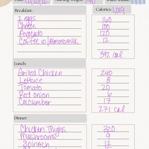 Digital Printable Downloadable Easy Beginners Food Log - Etsy
