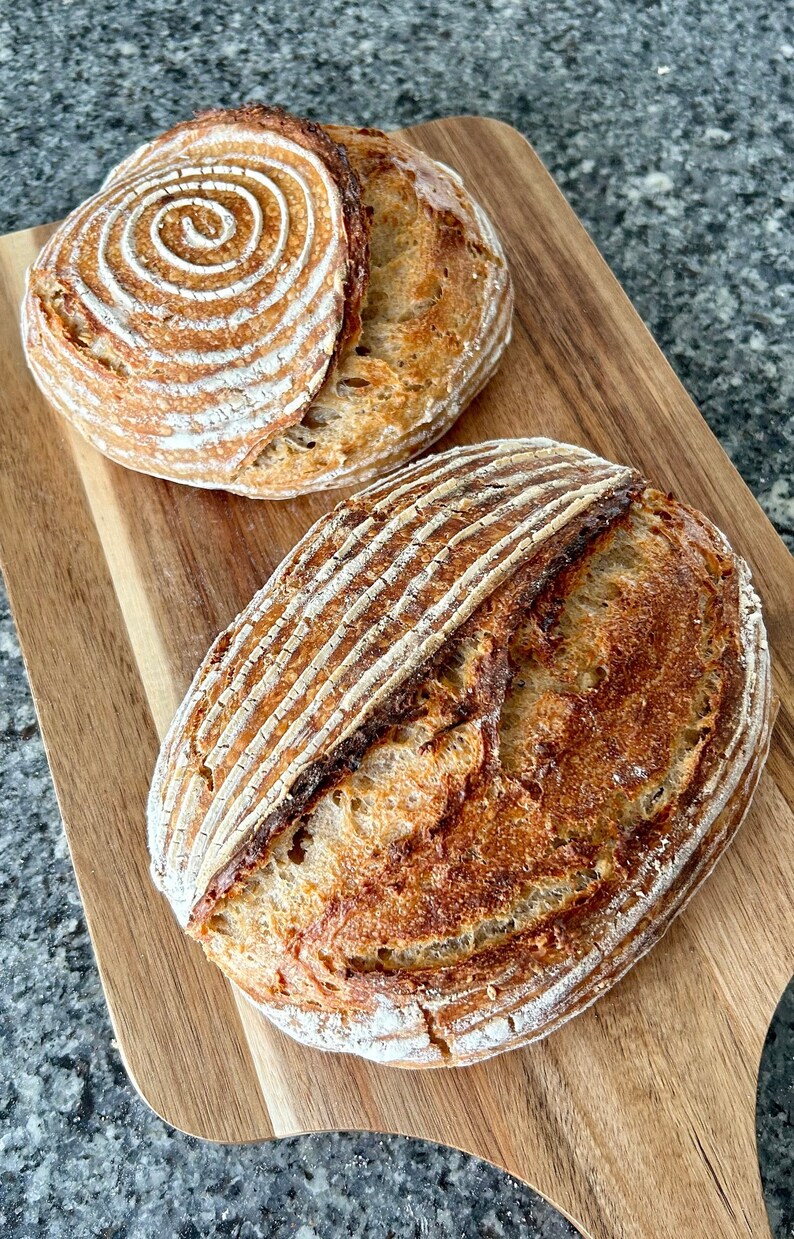 100% Organic All-natural Non-gmo Dehydrated Strong Wheat Sourdough ...