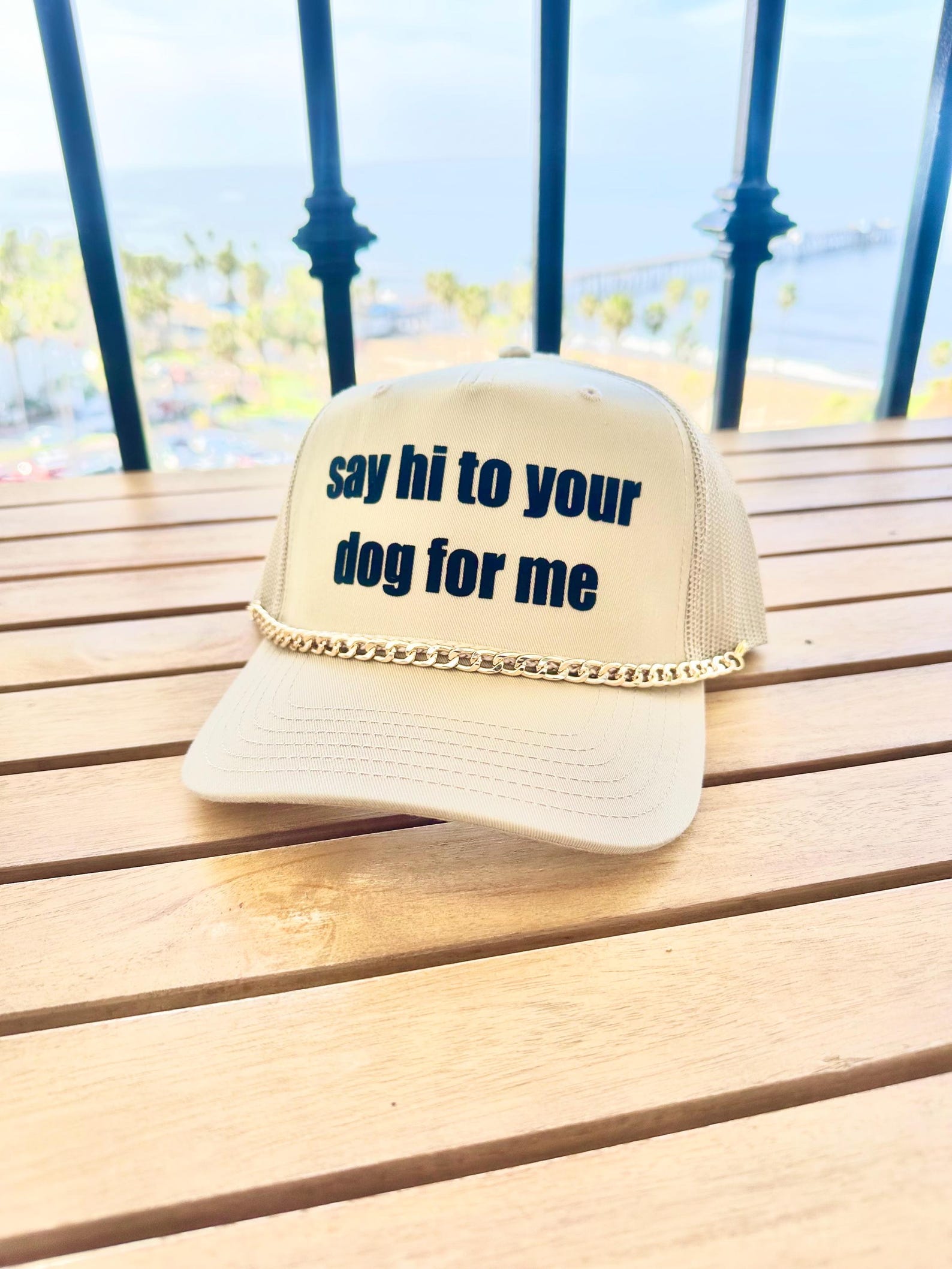 Say Hi to Your Dog for Me Trucker Hat, Trucker Hat, Snapback, Hat Chain ...