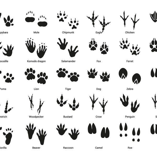 Animal Tracks Svg - Etsy