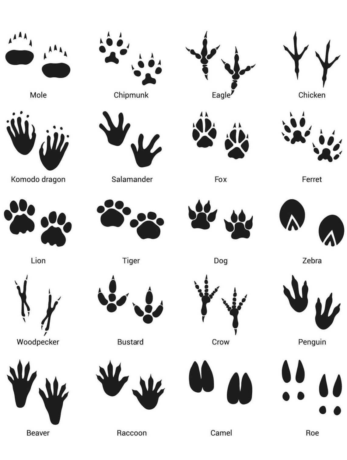 Animal Track, Prints, Footprints, Domestic Tracks, Wild Animal Tracks ...
