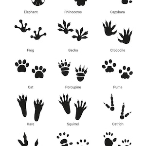 Animal Track, Prints, Footprints, Domestic Tracks, Wild Animal Tracks ...