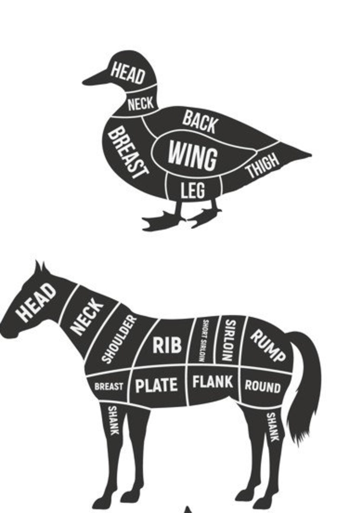 Butcher Cut Vectors, Dxf Svg Pdf AI Eps- CNC, Glowforge, Xtool or Other ...