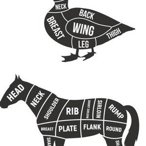 Butcher Cut Vectors, Dxf Svg Pdf AI Eps- CNC, Glowforge, Xtool or Other ...