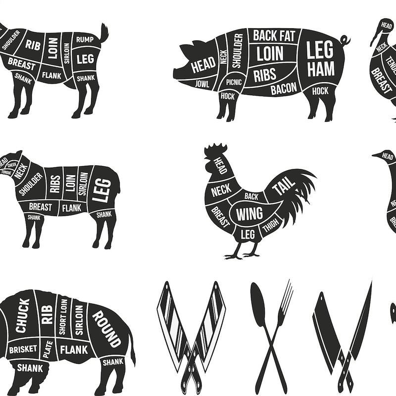 Butcher Chart - Etsy