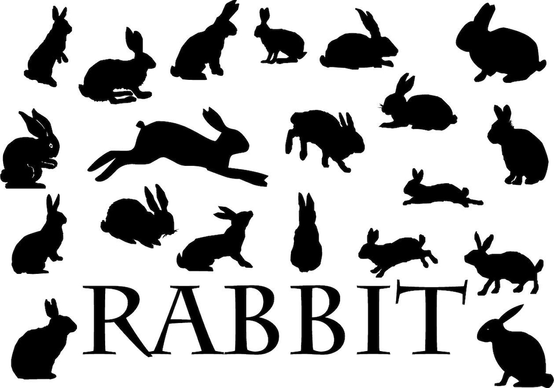 Bunny Svg, Easter, Rabbit Svg, Animal Svg, Bunny Rabbit Svg, Cricut and ...