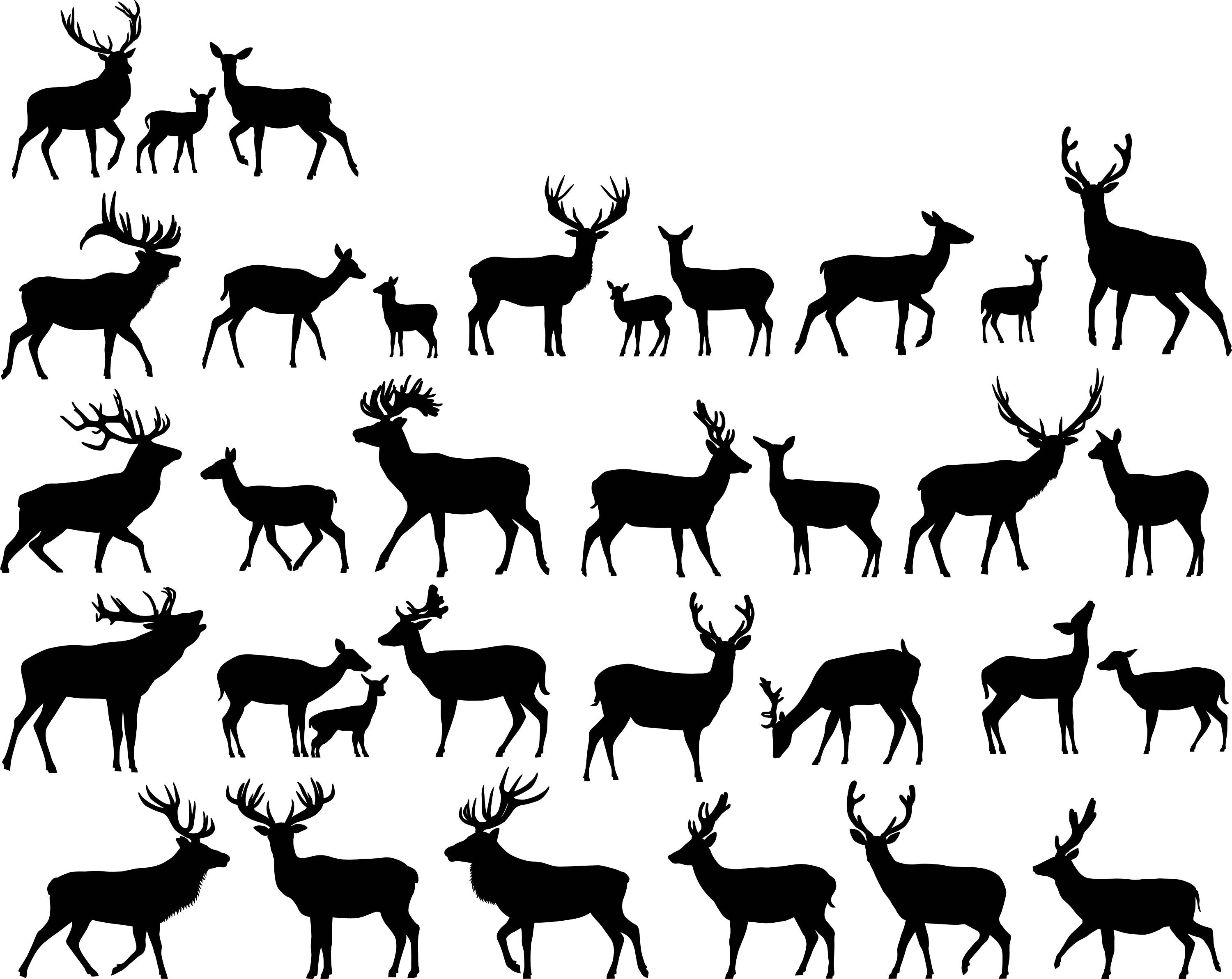 Deer Silhouettes 33 Dxf Svg Pdf CNC Glowforge or Laser Engraver - Etsy