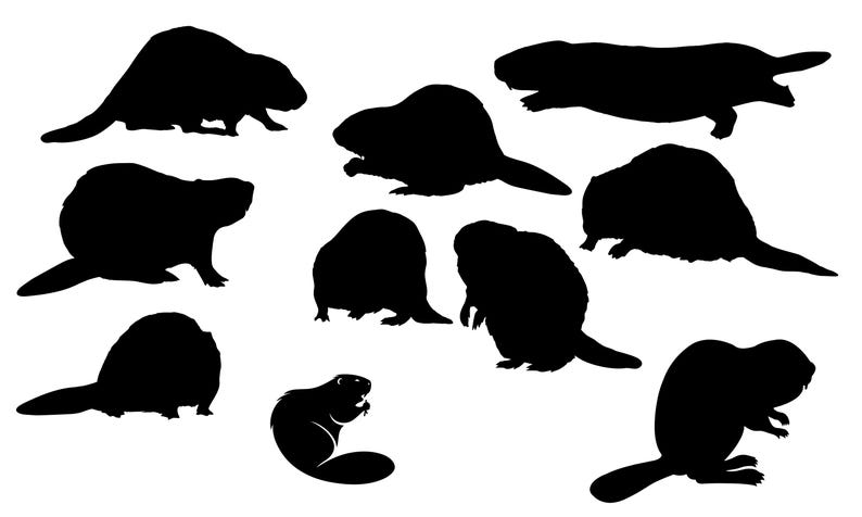 Beaver Silhouettes - 10pcs - Ai Eps Dxf Svg Pdf- CNC, Glowforge, Xtool ...
