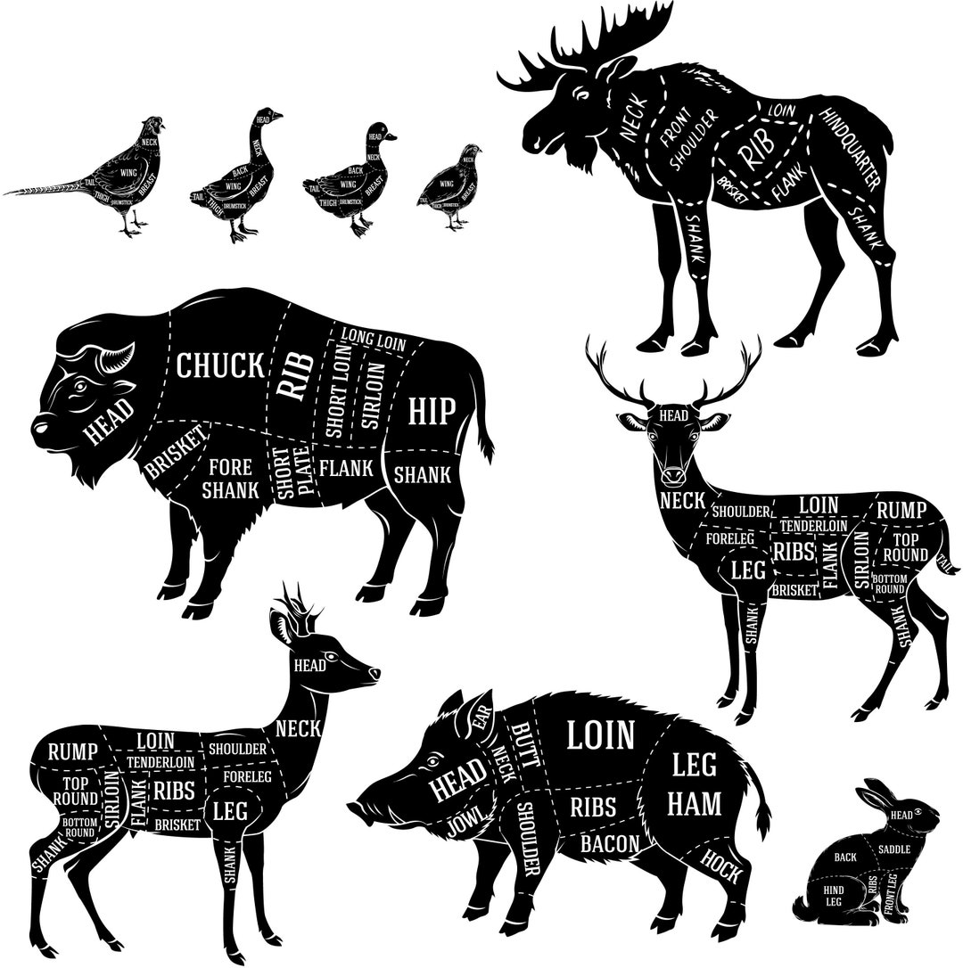 Wild Game Butcher Cuts, Dxf Svg Pdf AI Eps- CNC, Glowforge, Xtool or ...