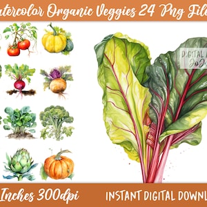 24 Garden Vegetables Clipart Bundle, Commercial Use, Digital Download ...