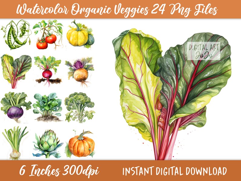 24 Garden Vegetables Clipart Bundle Commercial Use Digital - Etsy