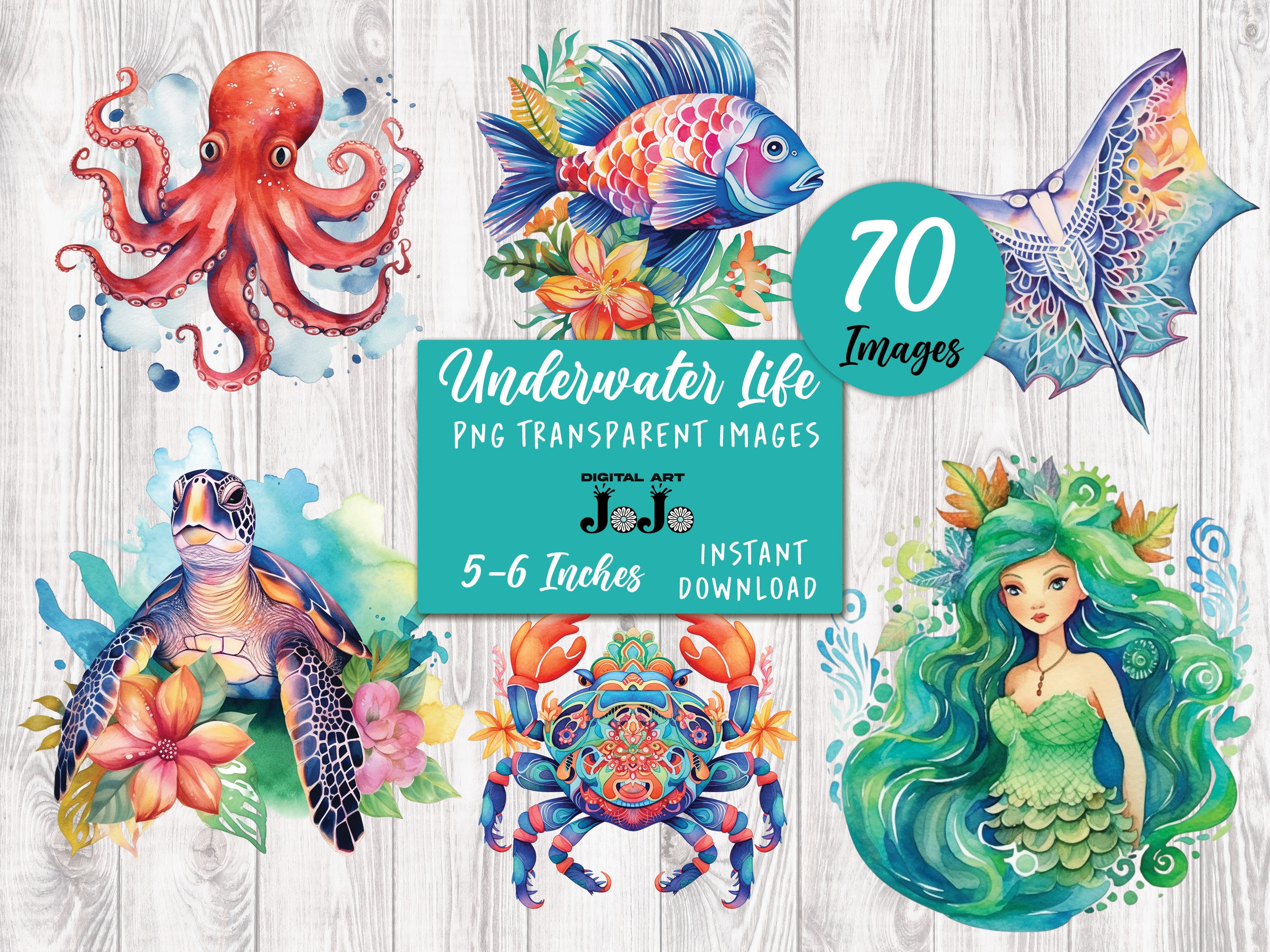 Sealife Clipart, Underwater Clipart, Commercial Use PNG, Coral Reef ...