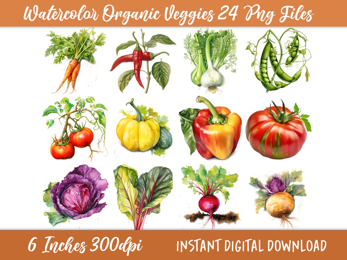 24 Garden Vegetables Clipart Bundle Commercial Use Digital - Etsy
