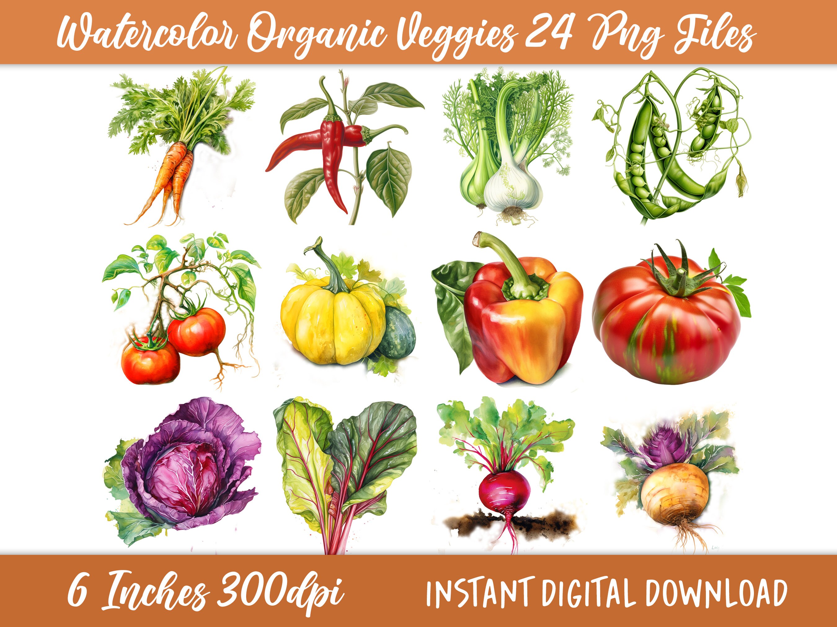 24 Garden Vegetables Clipart Bundle, Commercial Use, Digital Download ...