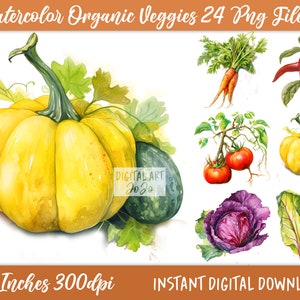 24 Garden Vegetables Clipart Bundle, Commercial Use, Digital Download ...