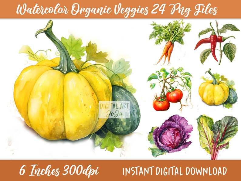24 Garden Vegetables Clipart Bundle, Commercial Use, Digital Download ...