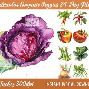 24 Garden Vegetables Clipart Bundle, Commercial Use, Digital Download ...