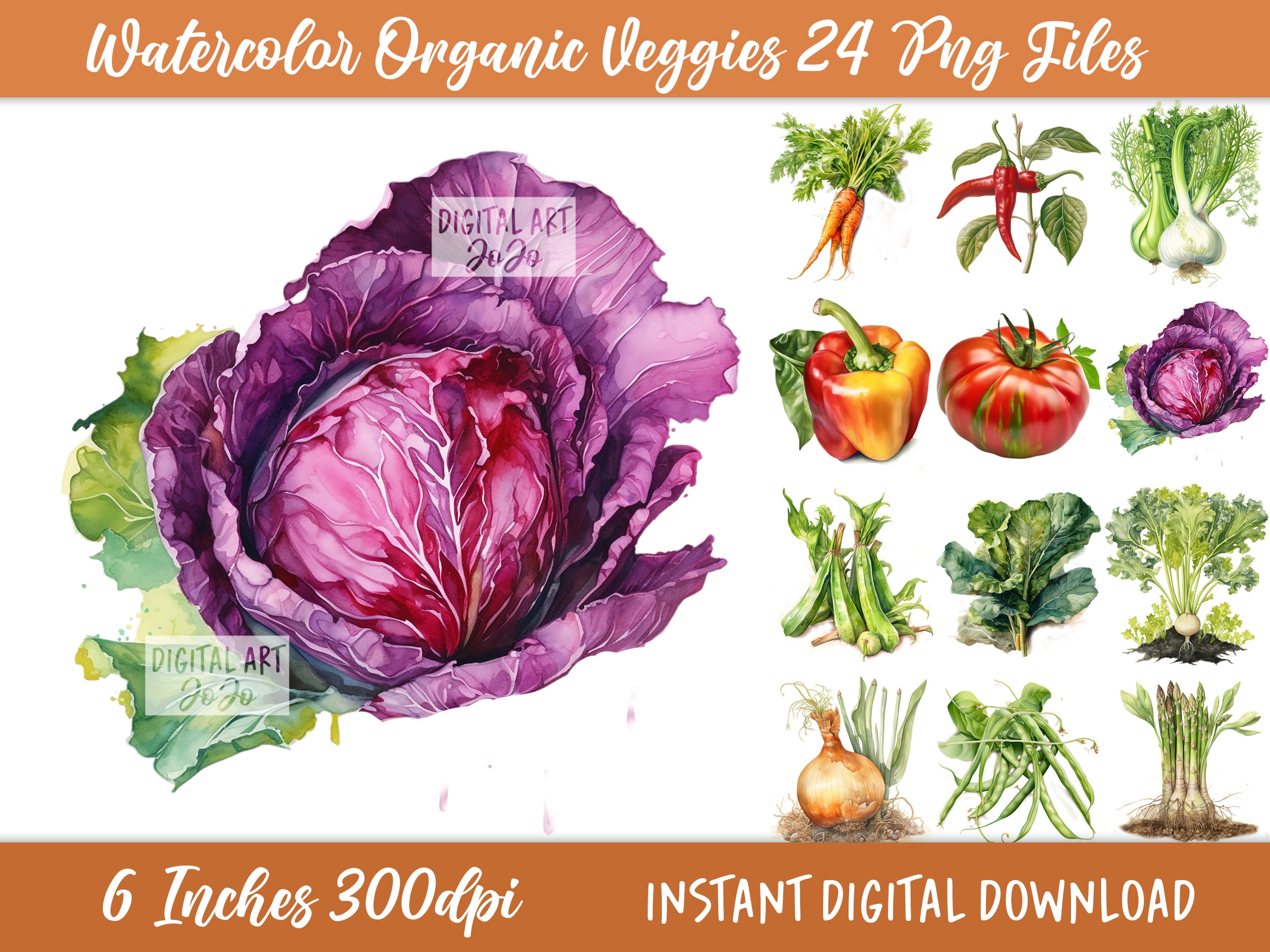 24 Garden Vegetables Clipart Bundle Commercial Use Digital - Etsy