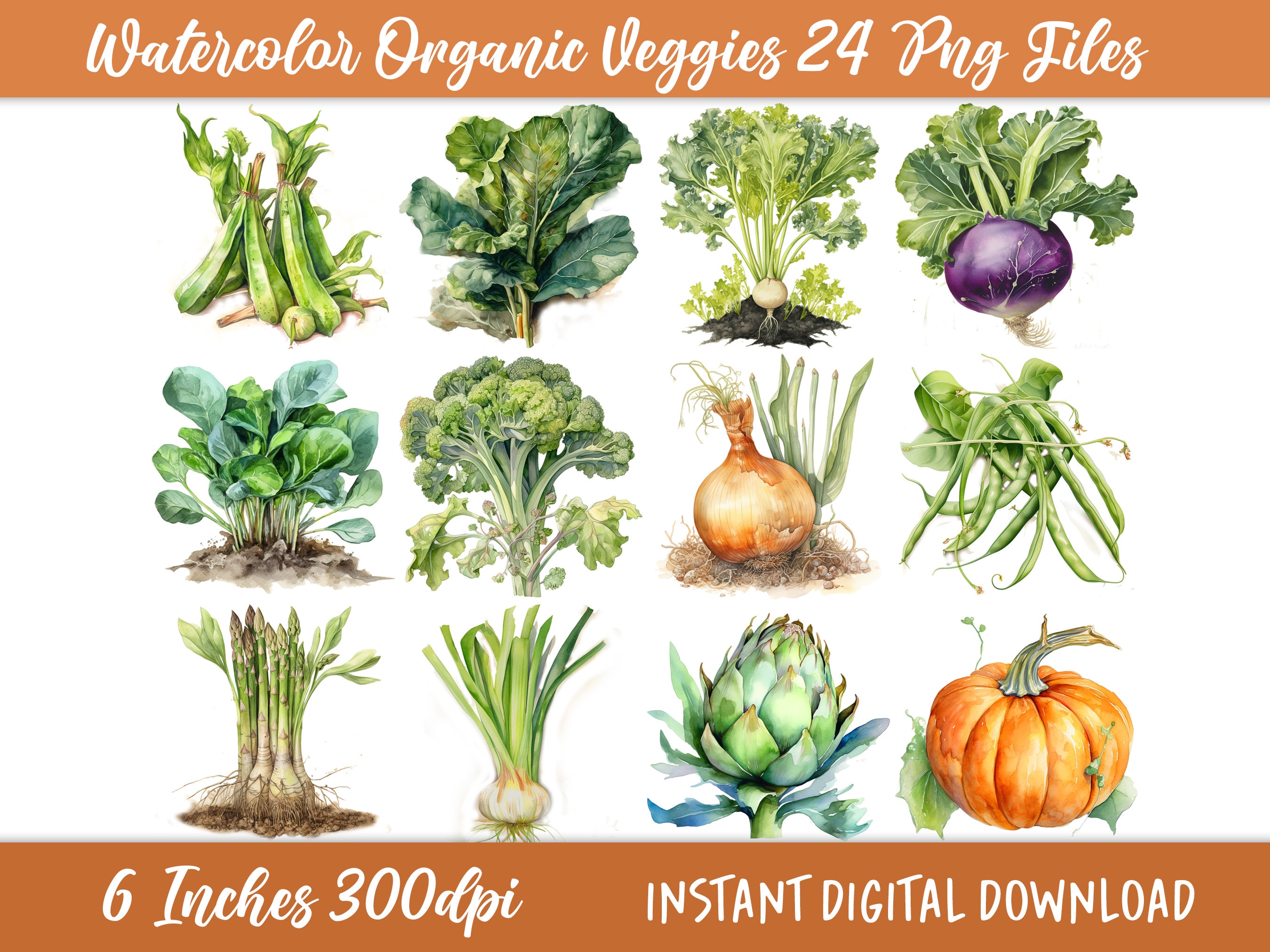 24 Garden Vegetables Clipart Bundle, Commercial Use, Digital Download ...