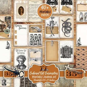 Cabinet of Curiosities Junk Journal Kit, Dark Academia Scrapbook ...
