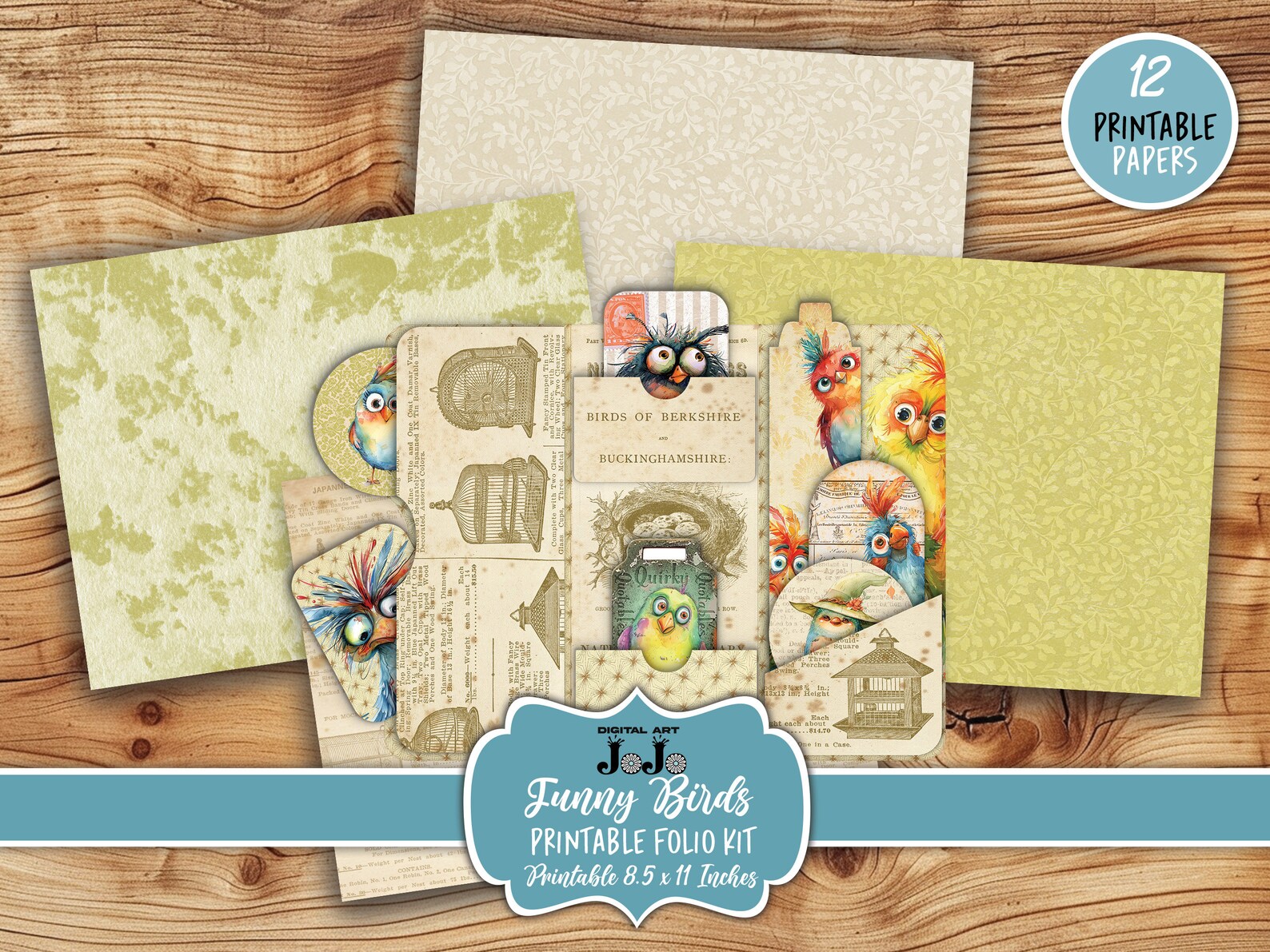 Funny Birds Printable Folio, Junk Journal Ephemera Kit, Whimsical ...