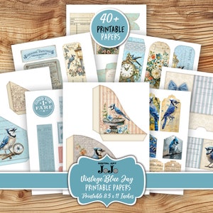Birds Junk Journal Kit, Digital Nature Papers, Blue Jay Pages, Vintage ...