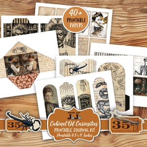 Cabinet of Curiosities Junk Journal Kit, Dark Academia Scrapbook ...