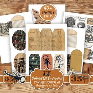 Cabinet of Curiosities Junk Journal Kit, Dark Academia Scrapbook ...