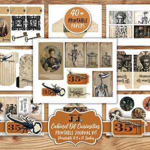 Cabinet of Curiosities Junk Journal Kit, Dark Academia Scrapbook ...