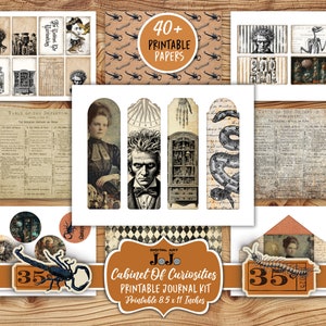Cabinet of Curiosities Junk Journal Kit, Dark Academia Scrapbook ...