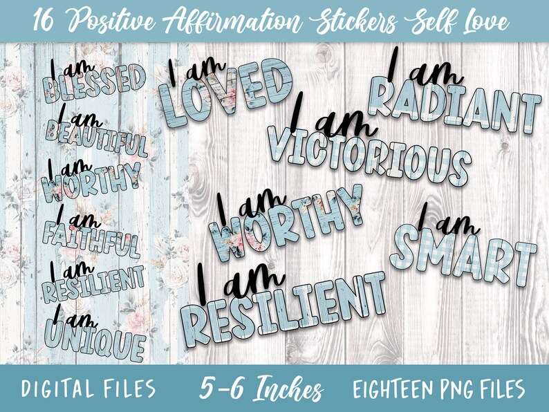 Shabby Chic Positive Affirmation Sticker Bundle Positive - Etsy