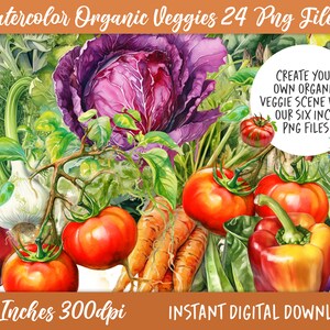 24 Garden Vegetables Clipart Bundle, Commercial Use, Digital Download ...