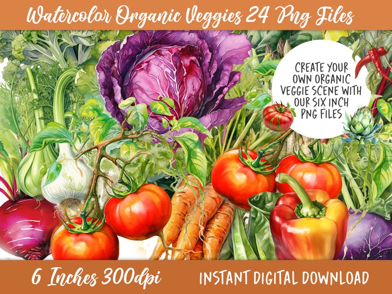 24 Garden Vegetables Clipart Bundle, Commercial Use, Digital Download ...