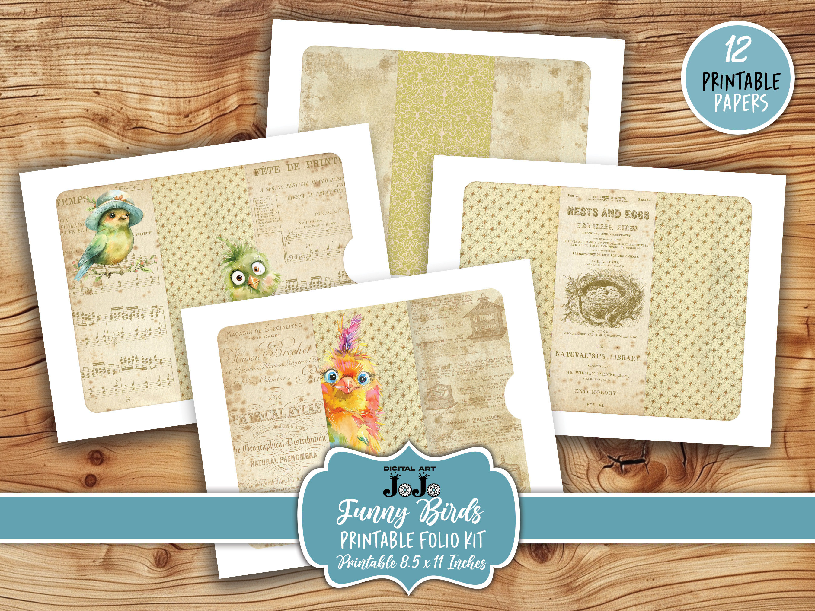 Funny Birds Printable Folio, Junk Journal Ephemera Kit, Whimsical ...