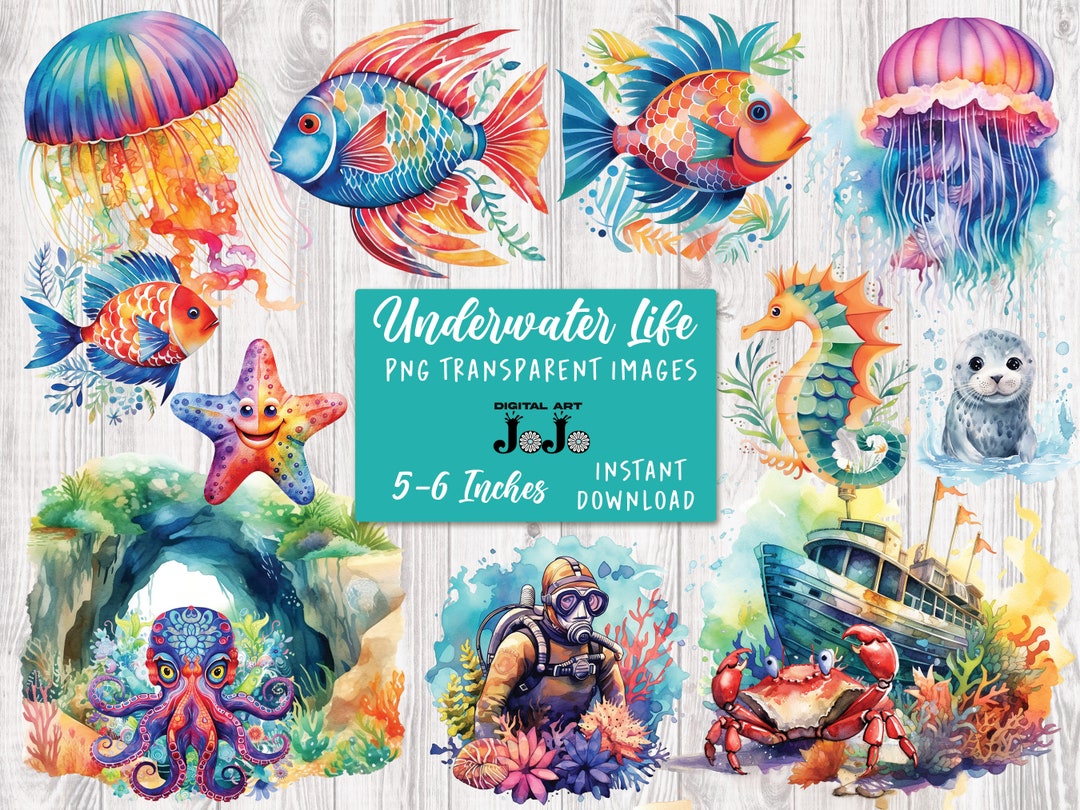 Sealife Clipart, Underwater Clipart, Commercial Use PNG, Coral Reef ...