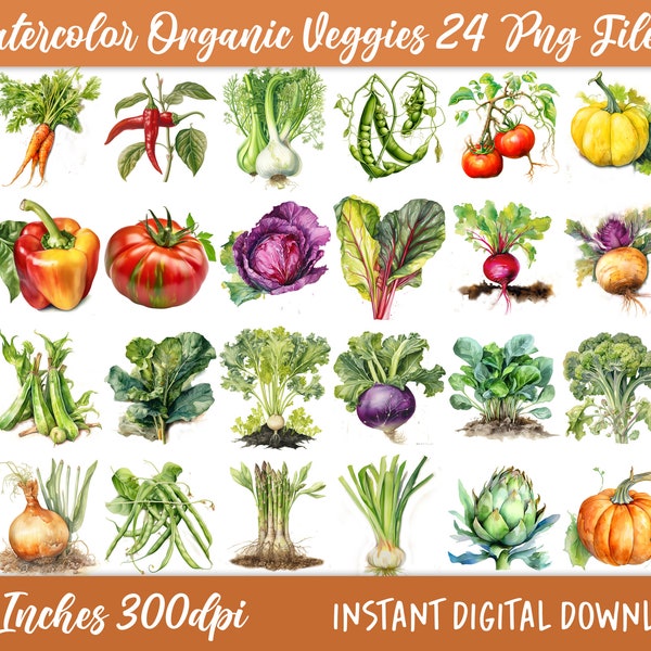 Vegetable Watercolor - Etsy