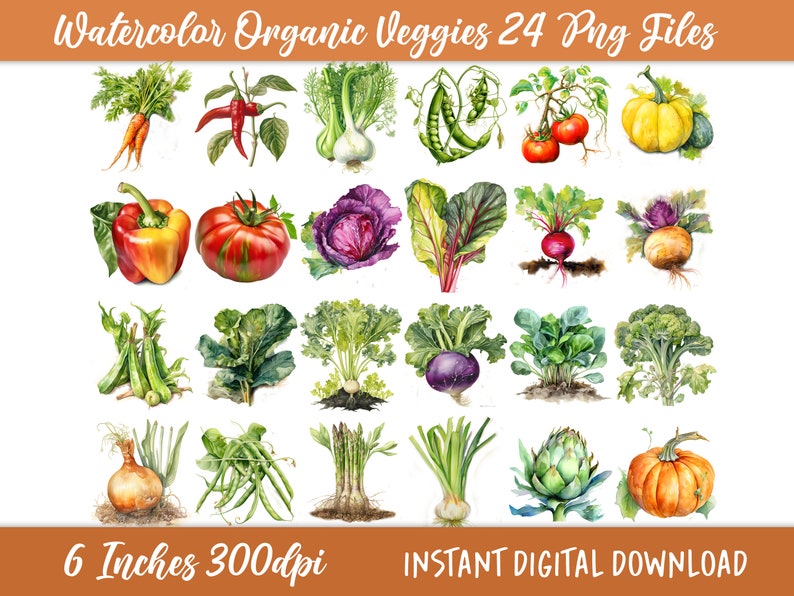 24 Garden Vegetables Clipart Bundle, Commercial Use, Digital Download ...