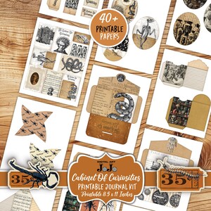 Cabinet of Curiosities Junk Journal Kit, Dark Academia Scrapbook ...