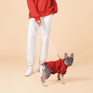 Cozy Cacti-themed Matching Dog and Owner Sweatshirt Set for Ultimate ...