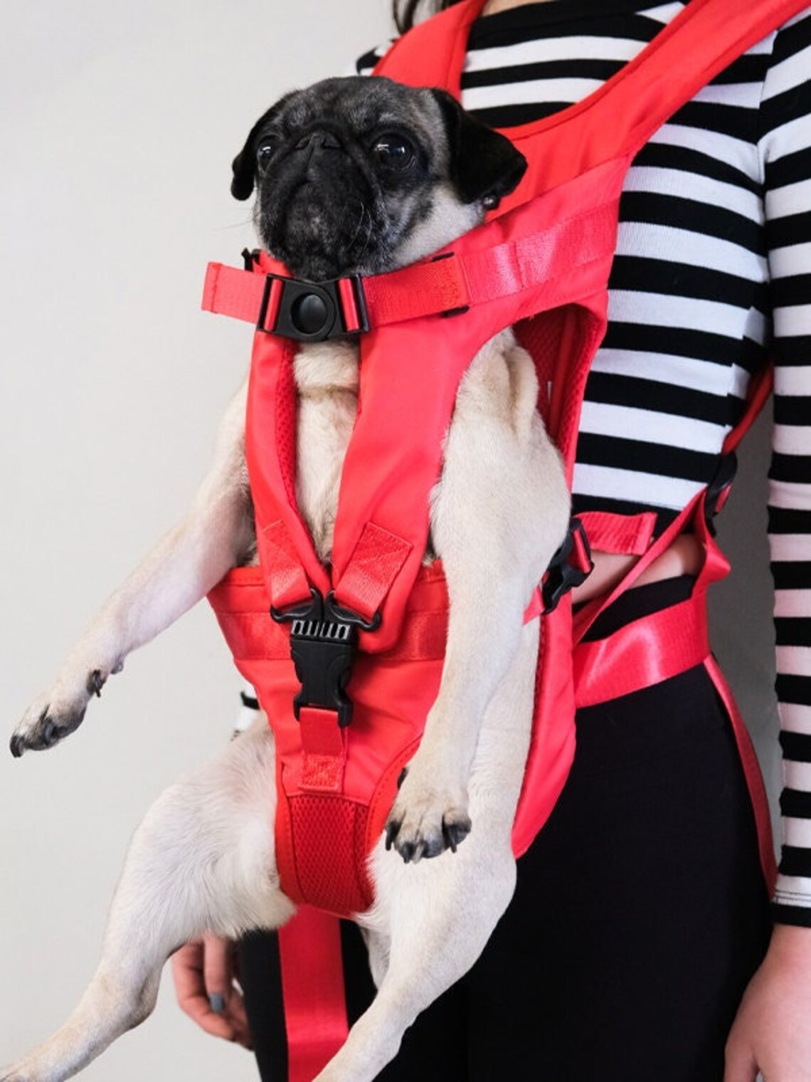 Red Dog Carrier Backpack With Adjustable Safety Straps Comfort Fit for ...