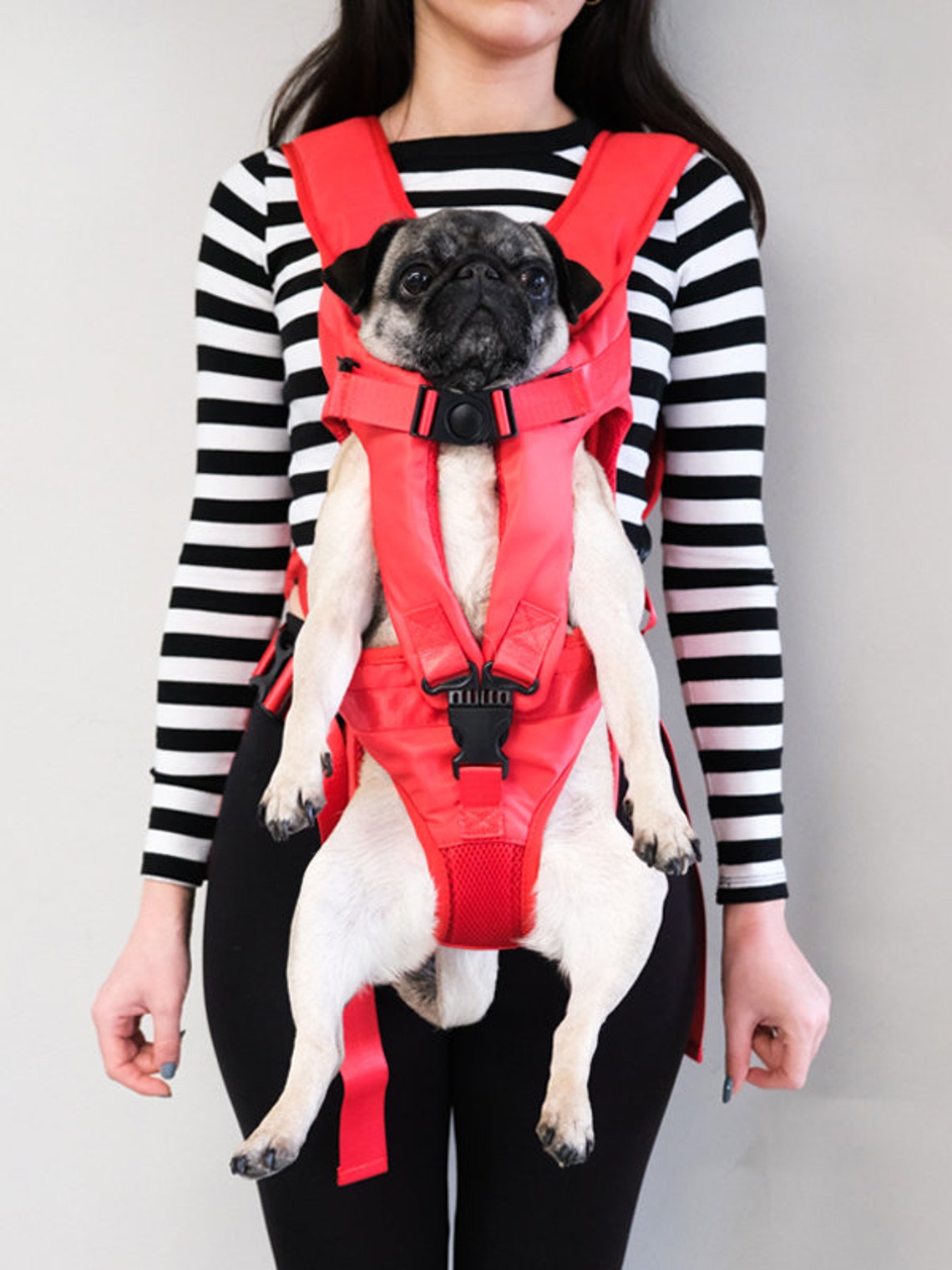 Red Dog Carrier Backpack With Adjustable Safety Straps Comfort Fit for ...