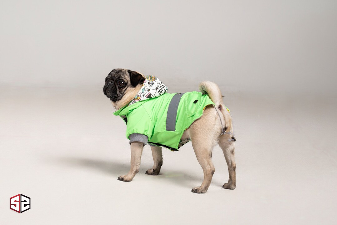 Neon Green Design Dog Coat - for Small Breeds (0-15kg)- Dog Raincoat ...