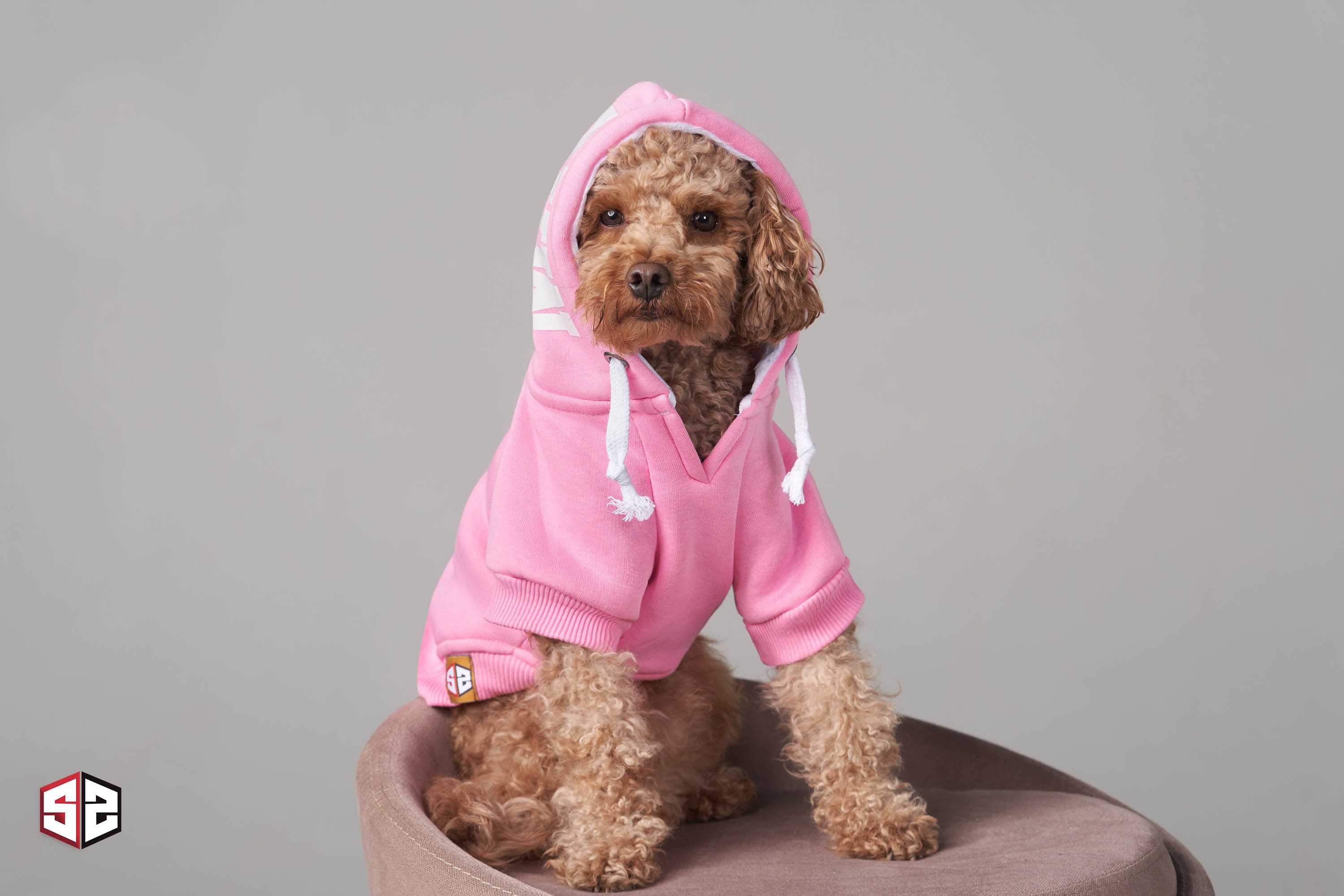 Dog & Human Matching Hoodie Set Magnet Oversize Sweatshirt - Etsy