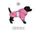 Neon Pink Design Dog Coat - for Small Breeds (0-15kg) - Dog Raincoat ...